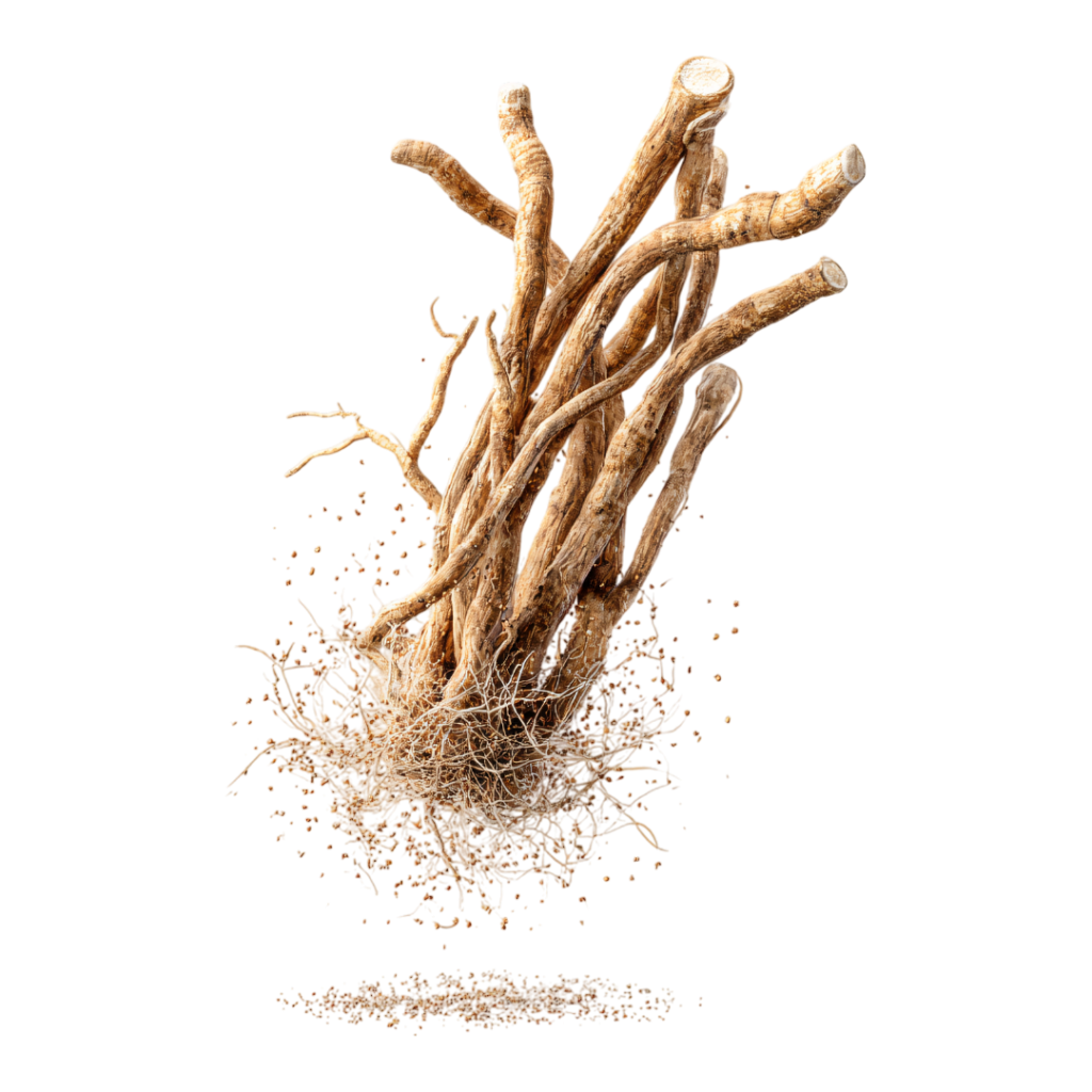 Frequently Asked Questions About Stress Management – Karviva