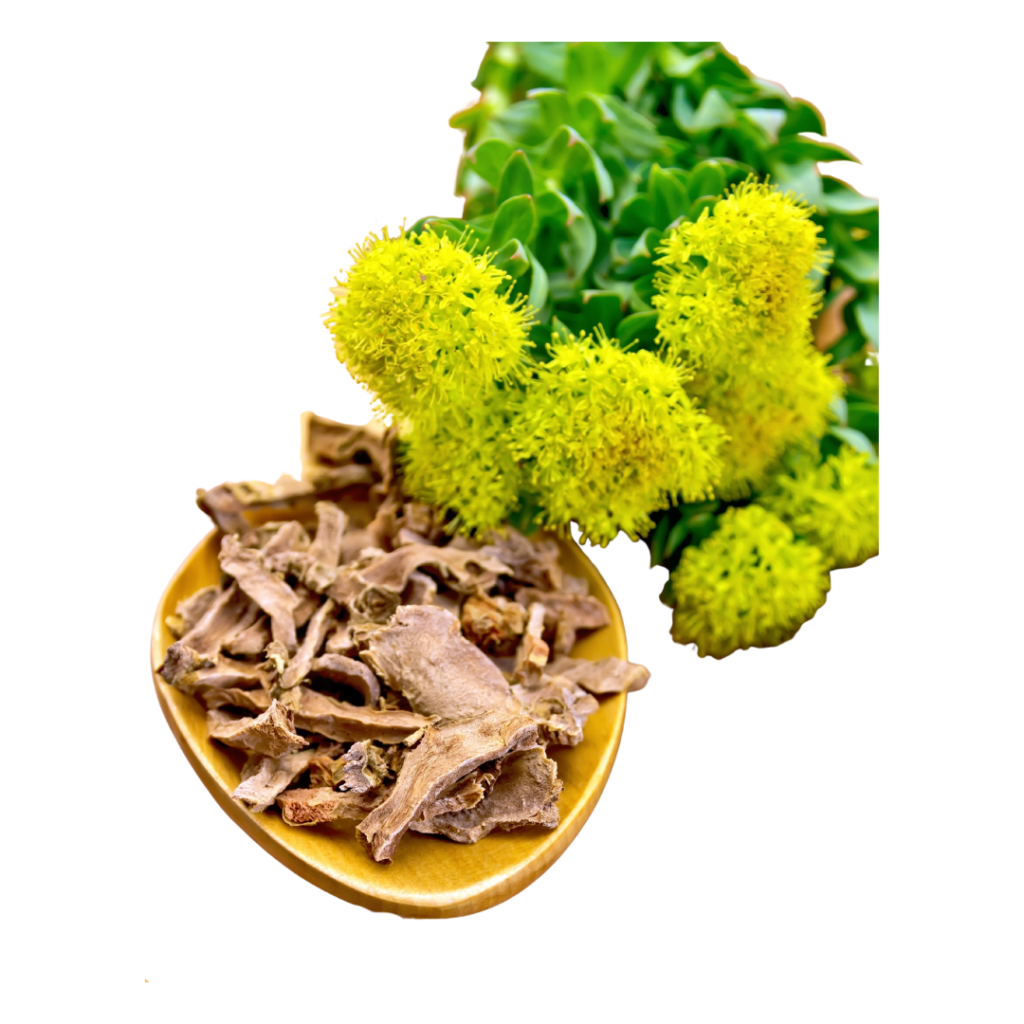 Frequently Asked Questions About Stress Management – Karviva